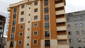 Zenon Panel Official Web Site