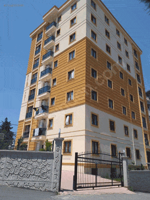 Zenon Panel Official Web Site